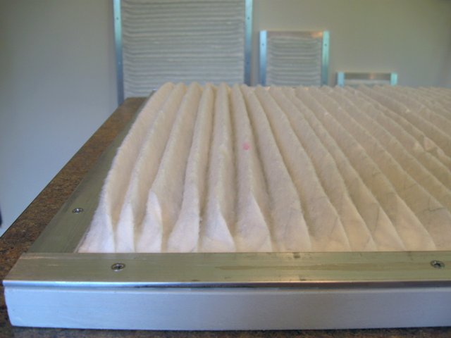 Clean Fresh Air | Biotoxin Journey