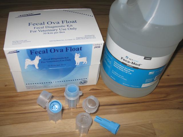 Parasites & CIRS Update | Biotoxin Journey